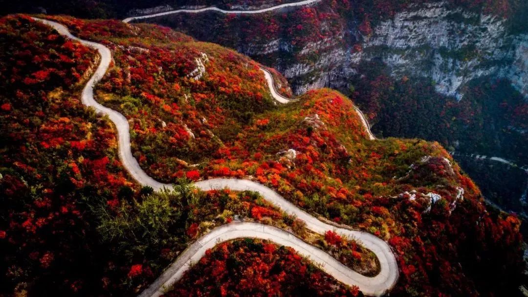 China's four major red leaf bases-Qingtian River in Jiaozuo, the best ...